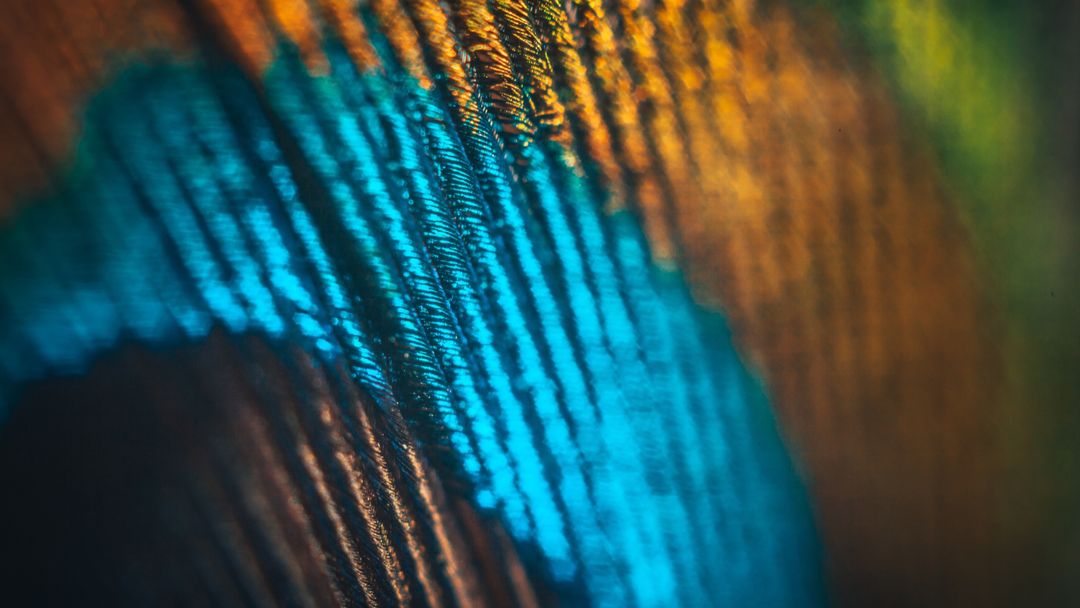 Canadian Climate Institute