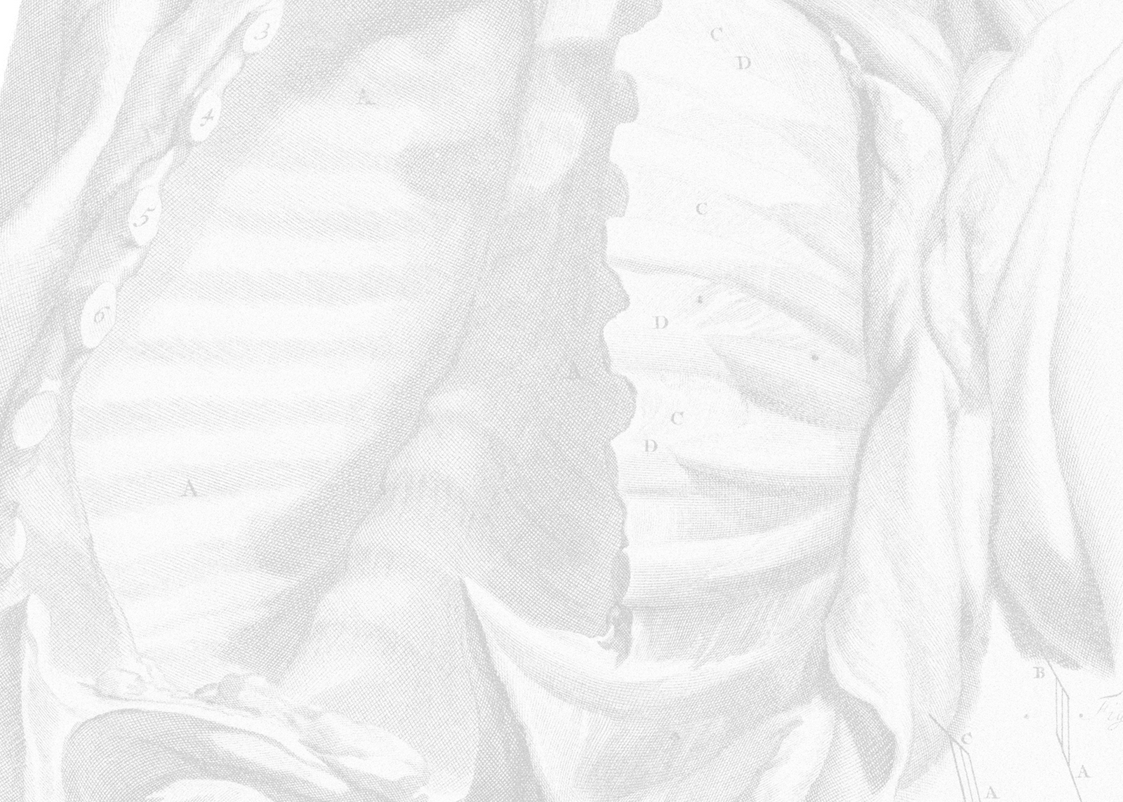 Anatomy: Streamline Healthcare Financial Operations with Automation