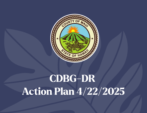 Community Development Block Grant Disaster Recovery (CDBG-DR) grant funds
