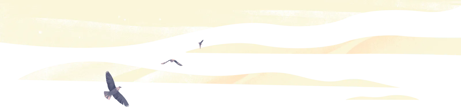 Obituary Examples For a Sister: How To Write It with 12 Samples | After ...