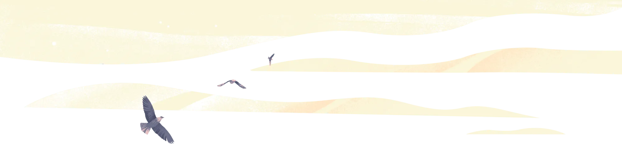 How Long Does It Take To Get Ashes Back After Cremation? | After®.com Blog