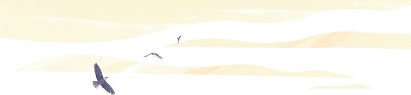 How Long Does It Take To Get Ashes Back After Cremation? | After®.com Blog