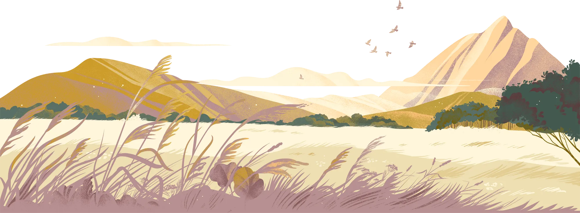 End of Life Care: Recognizing 10 Signs of Dying | After®.com Blog