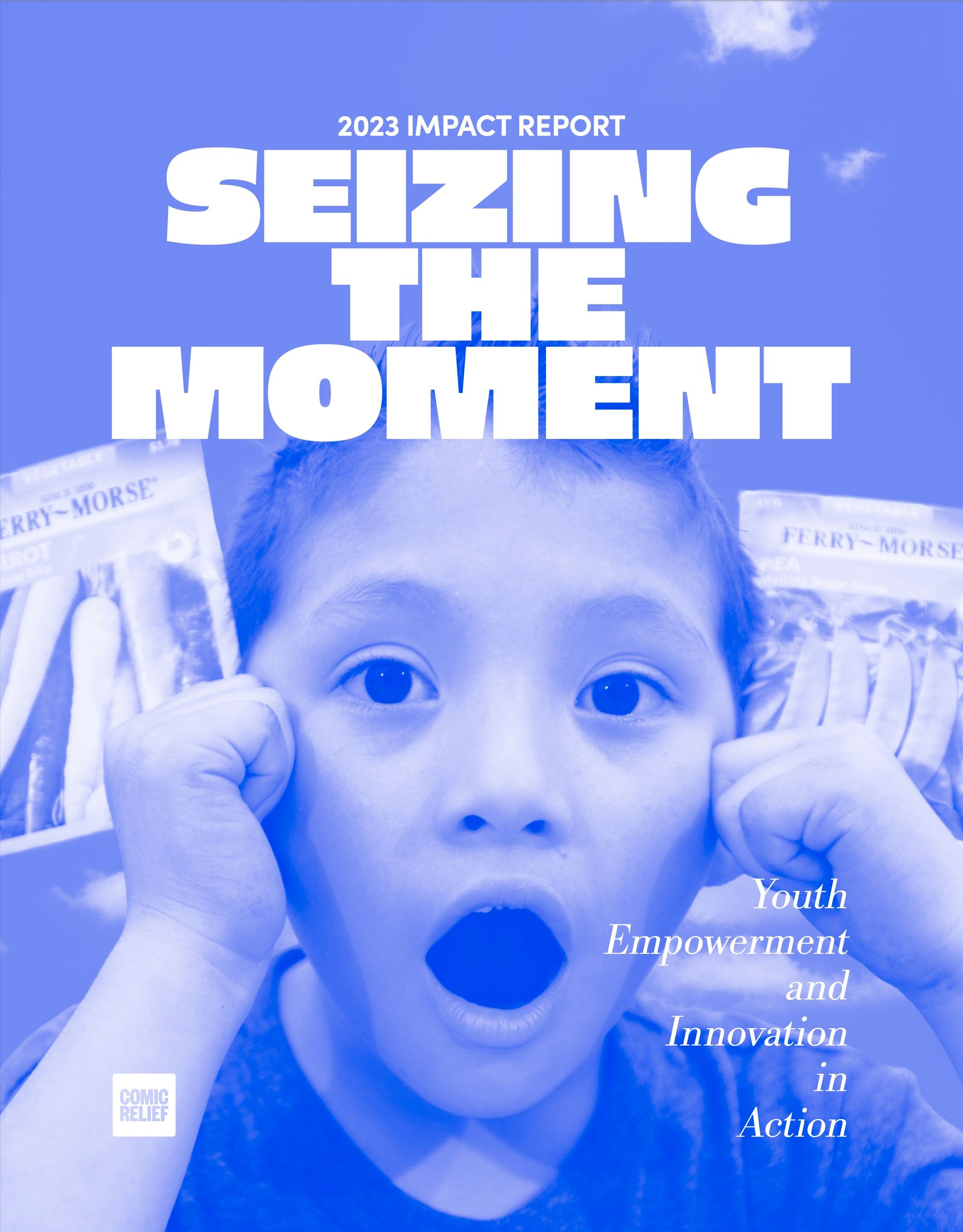 What Are the Four Types of Homelessness? | Comic Relief US