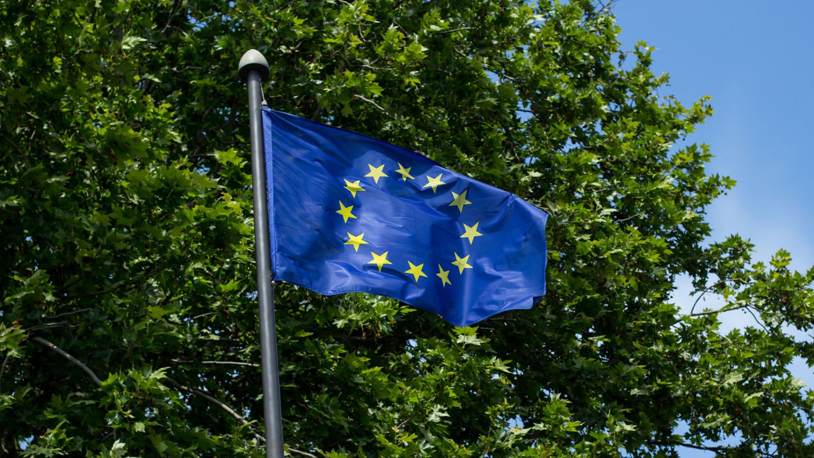 ESRS 1 and 2: the general reporting standards everyone has to know ...