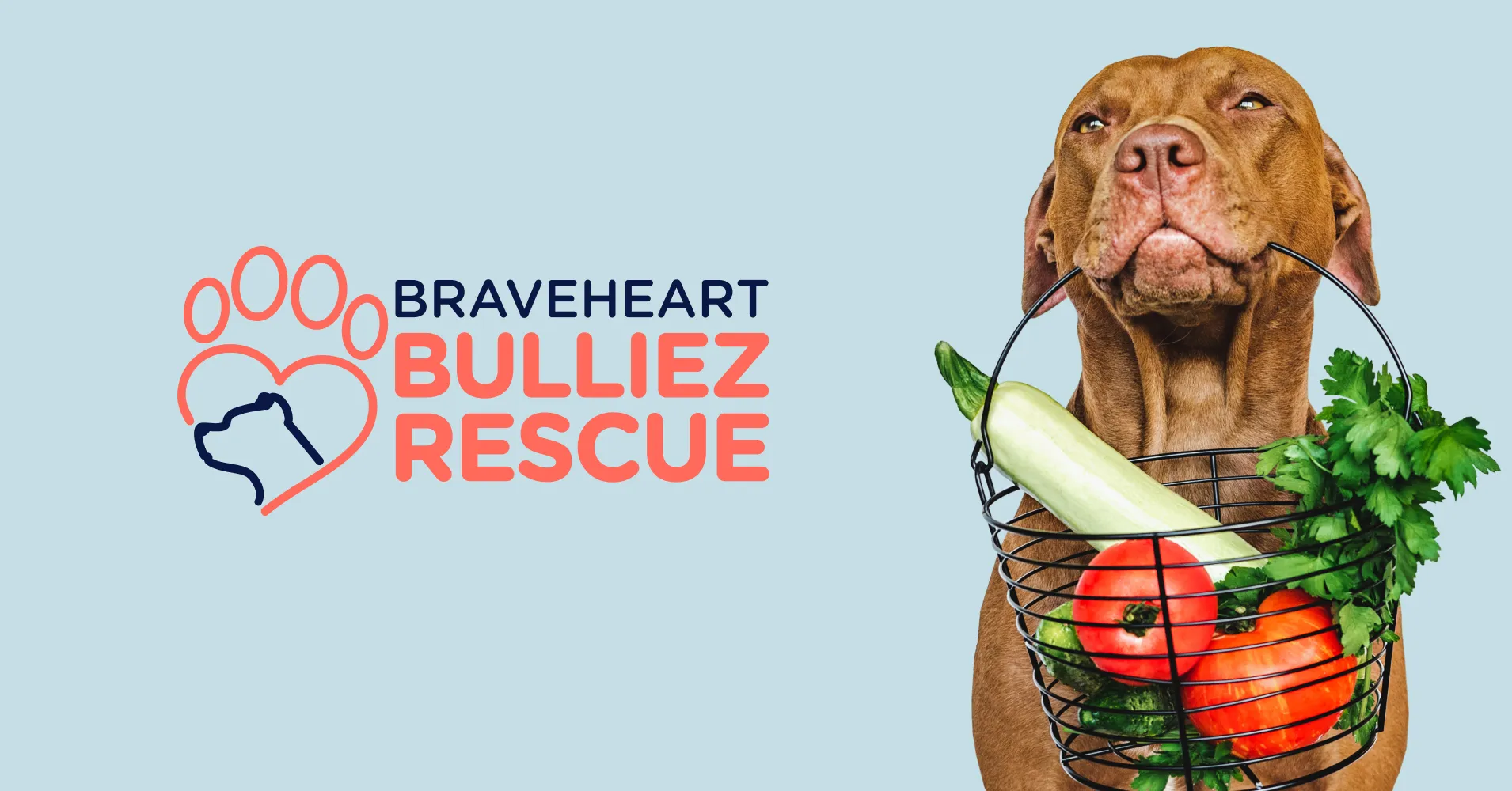 Braveheart Bulliez Rescue