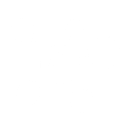 MIT HAN Lab