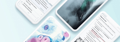 AMBOSS Pricing - For Students, Residents and Clinicians