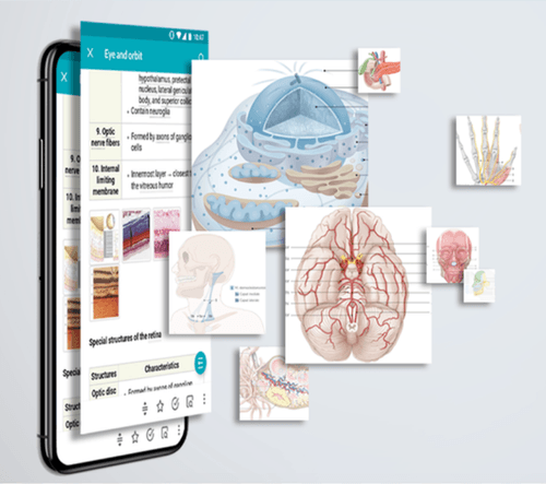 Essential USMLE® Step 1 preparation kit