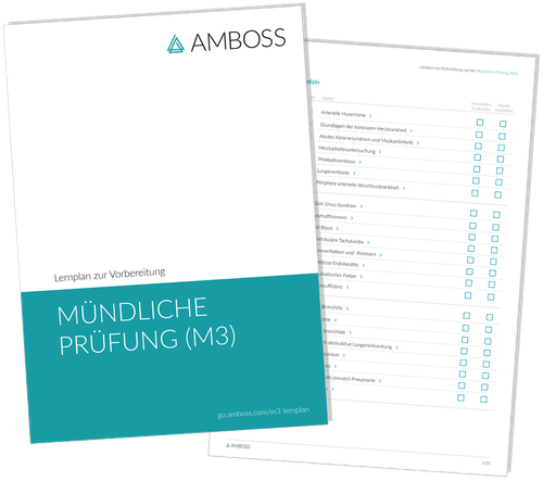 Lernpläne und Examensvorbereitung für M2 & M3 | AMBOSS