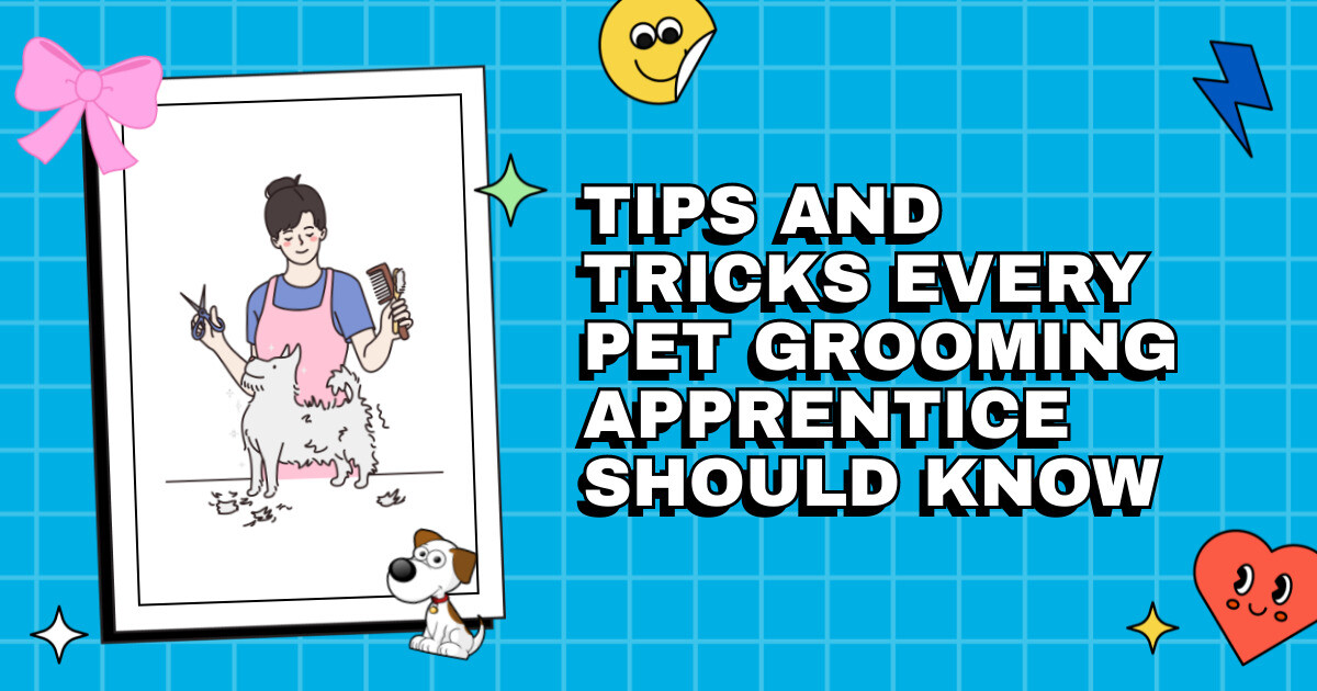 From Fuzzy to Fancy: Tips and Tricks Every Pet Grooming Apprentice ...