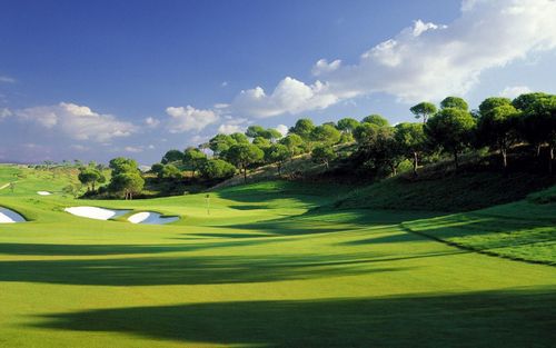 Your Guide to Understanding Golf Course Costs