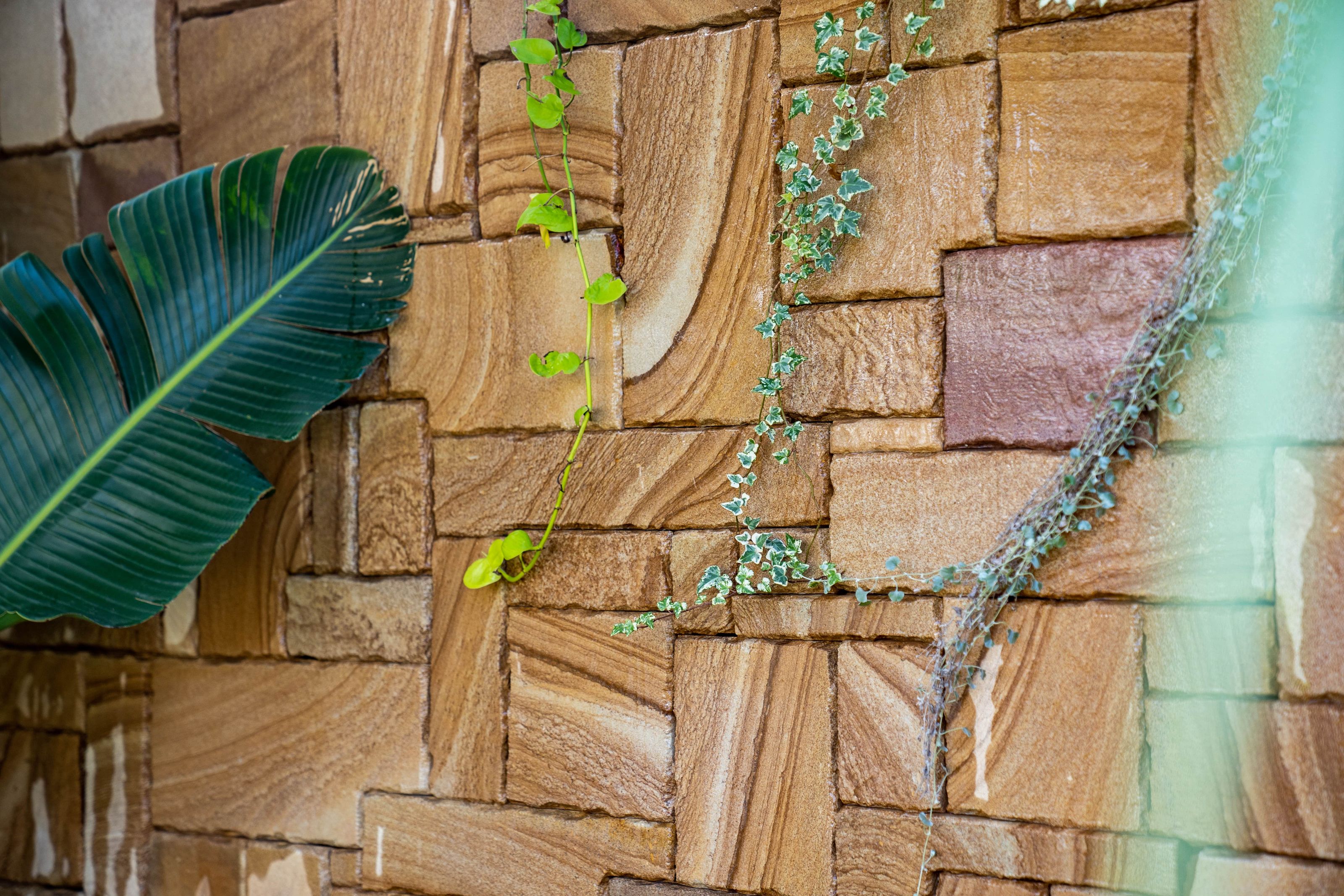 Green Side Up Landscapes | Premium Landscaping Brisbane