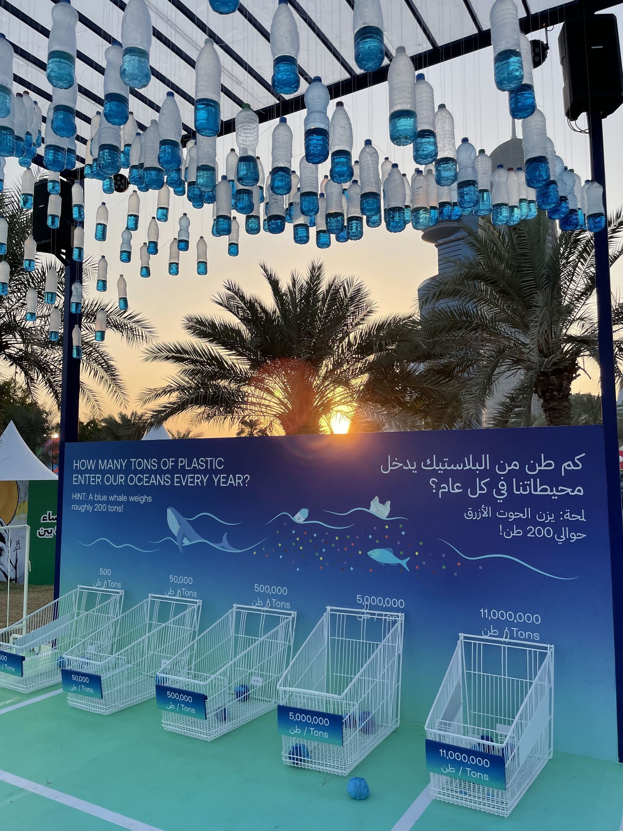 About Us | Seven Clean Seas - An Ocean Impact Organisation
