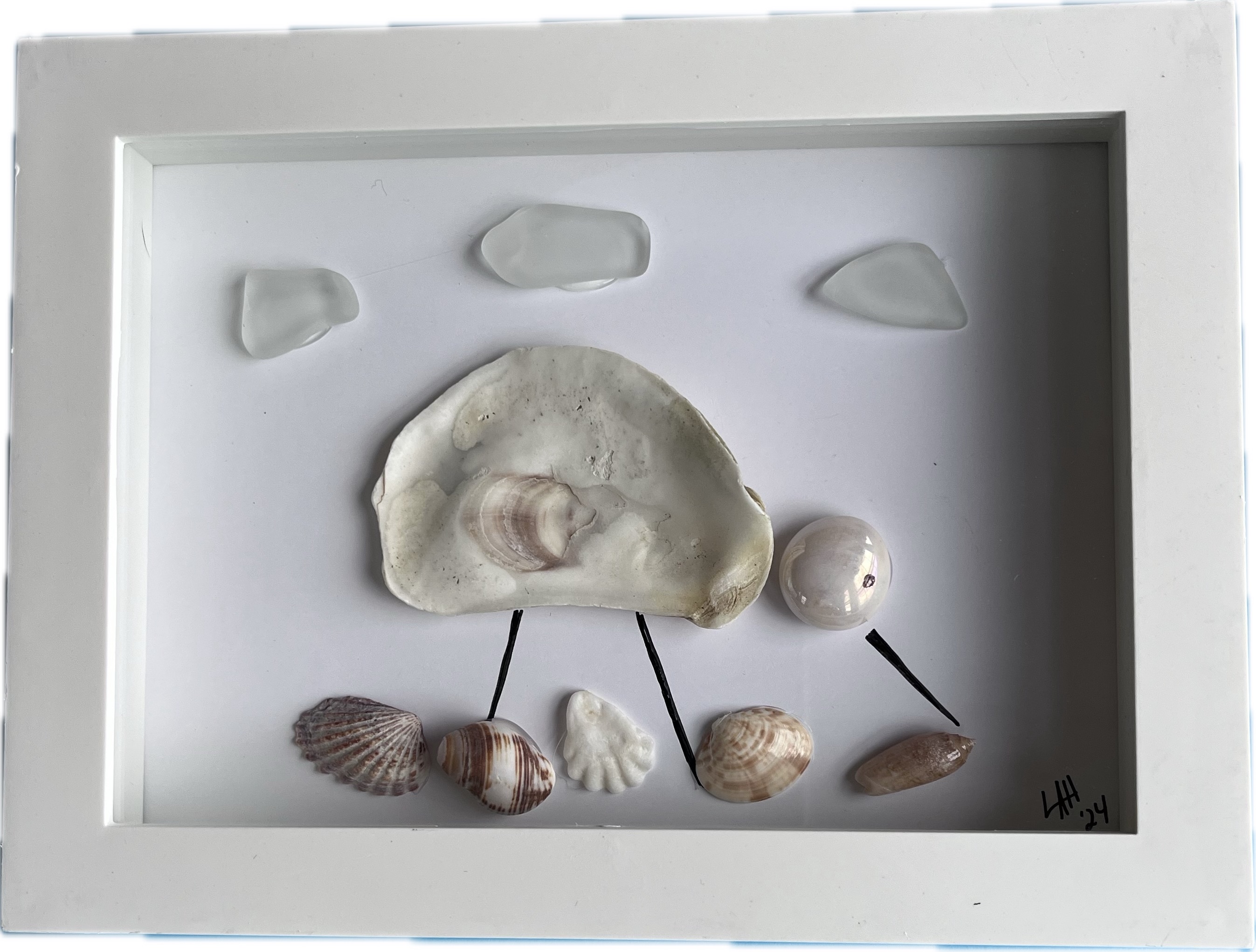 Seashells For Charity