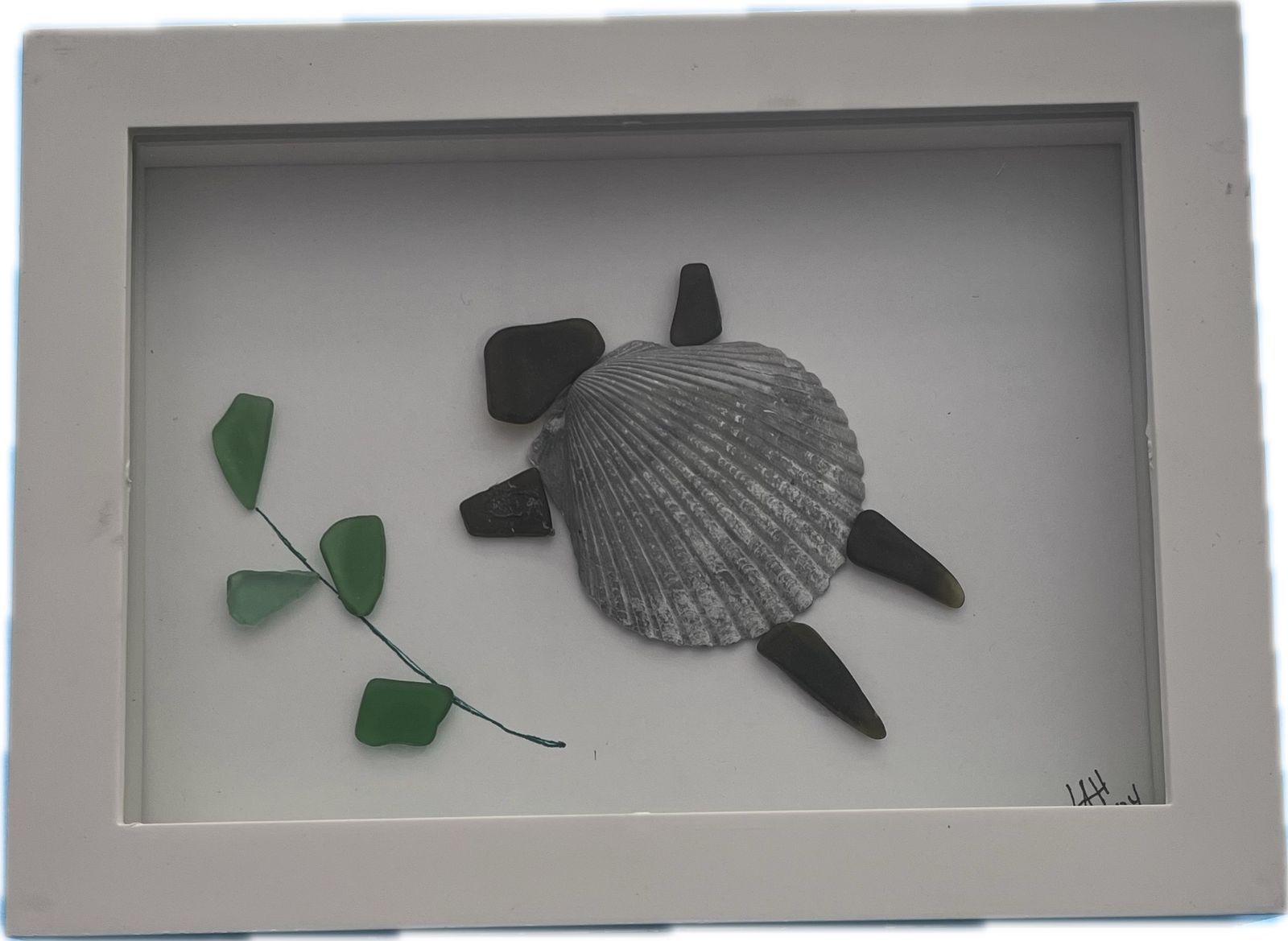 Seashells For Charity