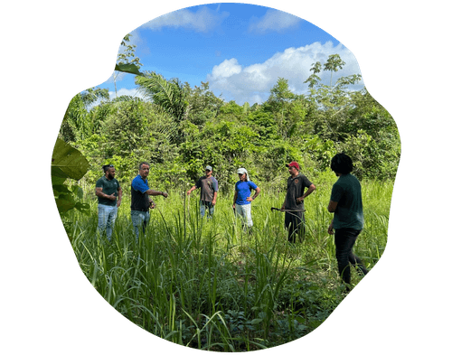 Open Forest Protocol | Transparent, data-backed carbon credits