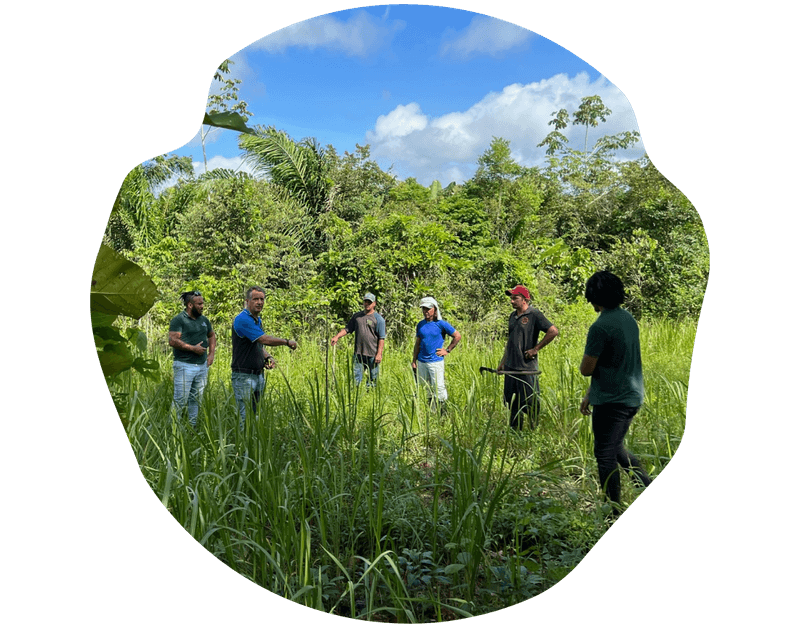 Open Forest Protocol | Transparent, data-backed carbon credits