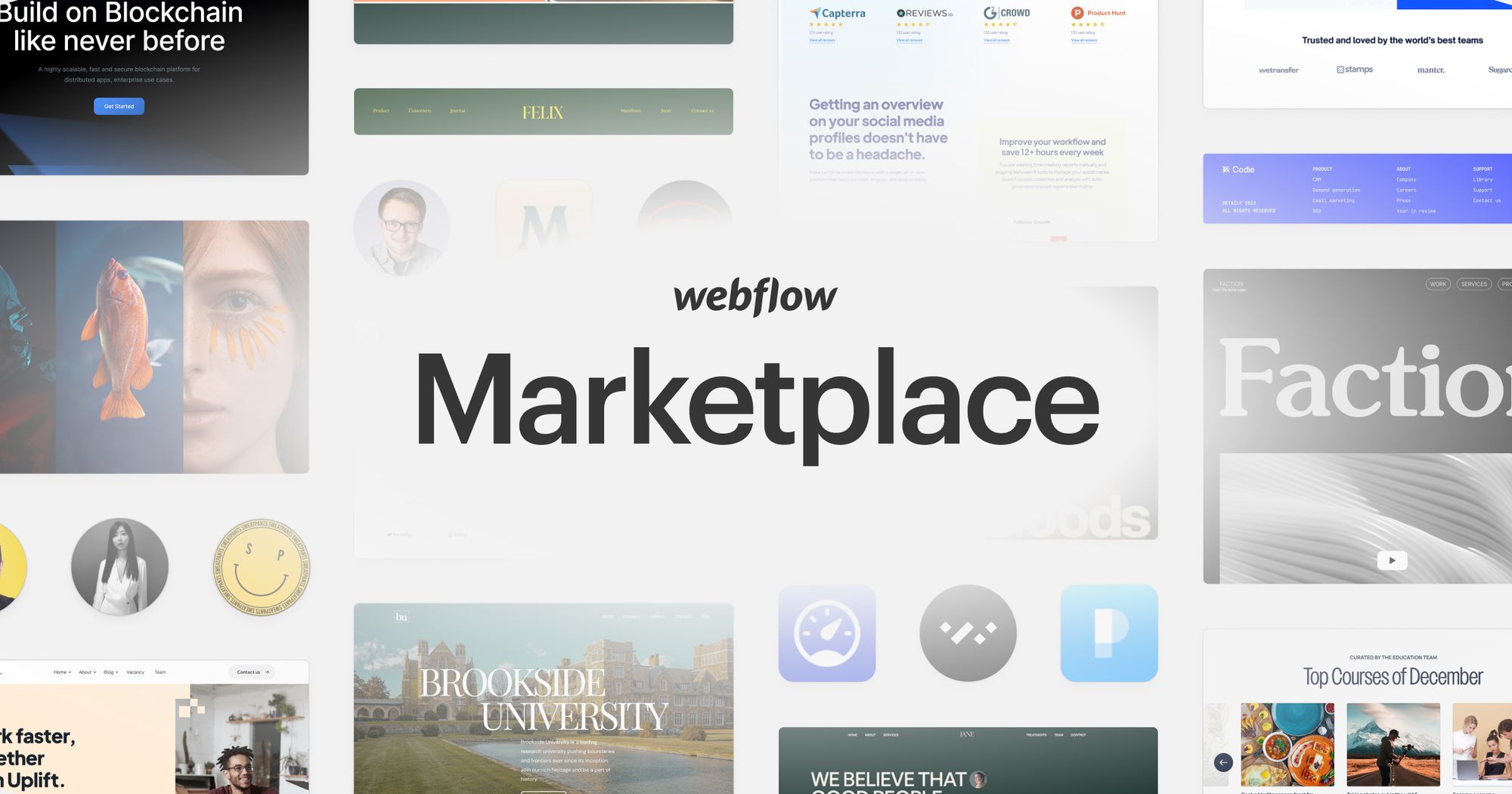 Template marketplace redesign | Webflow Updates