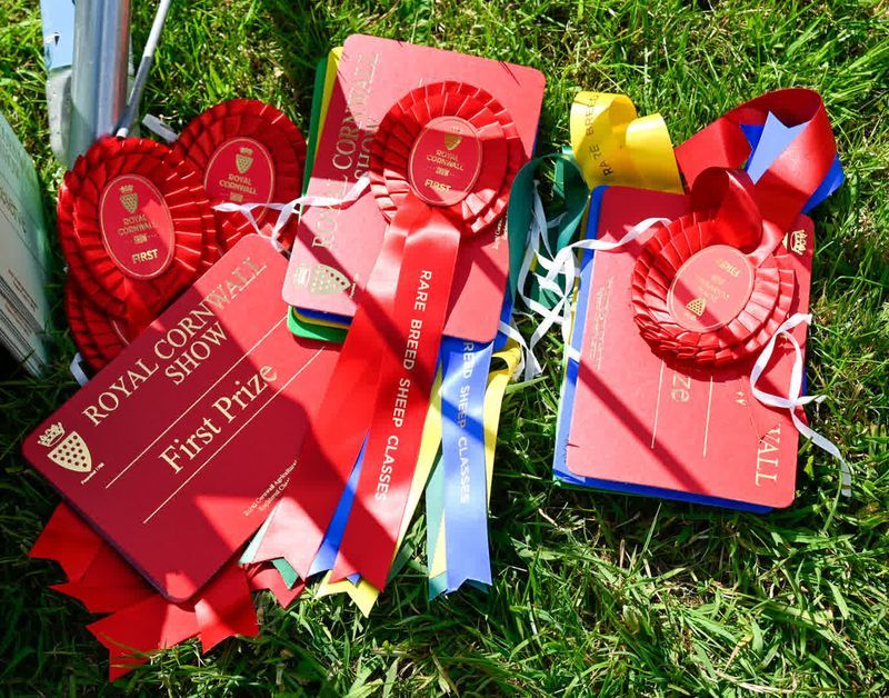 Royal Cornwall Show 2026 - Cornwall's BIGGEST Annual Event