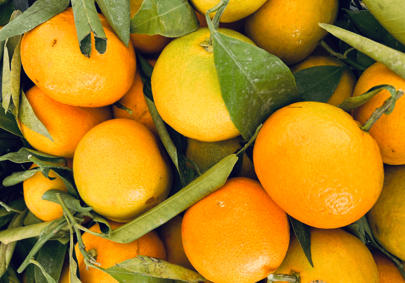 Salemi Ceramics - Artistic Retreats in Salemi Sicily