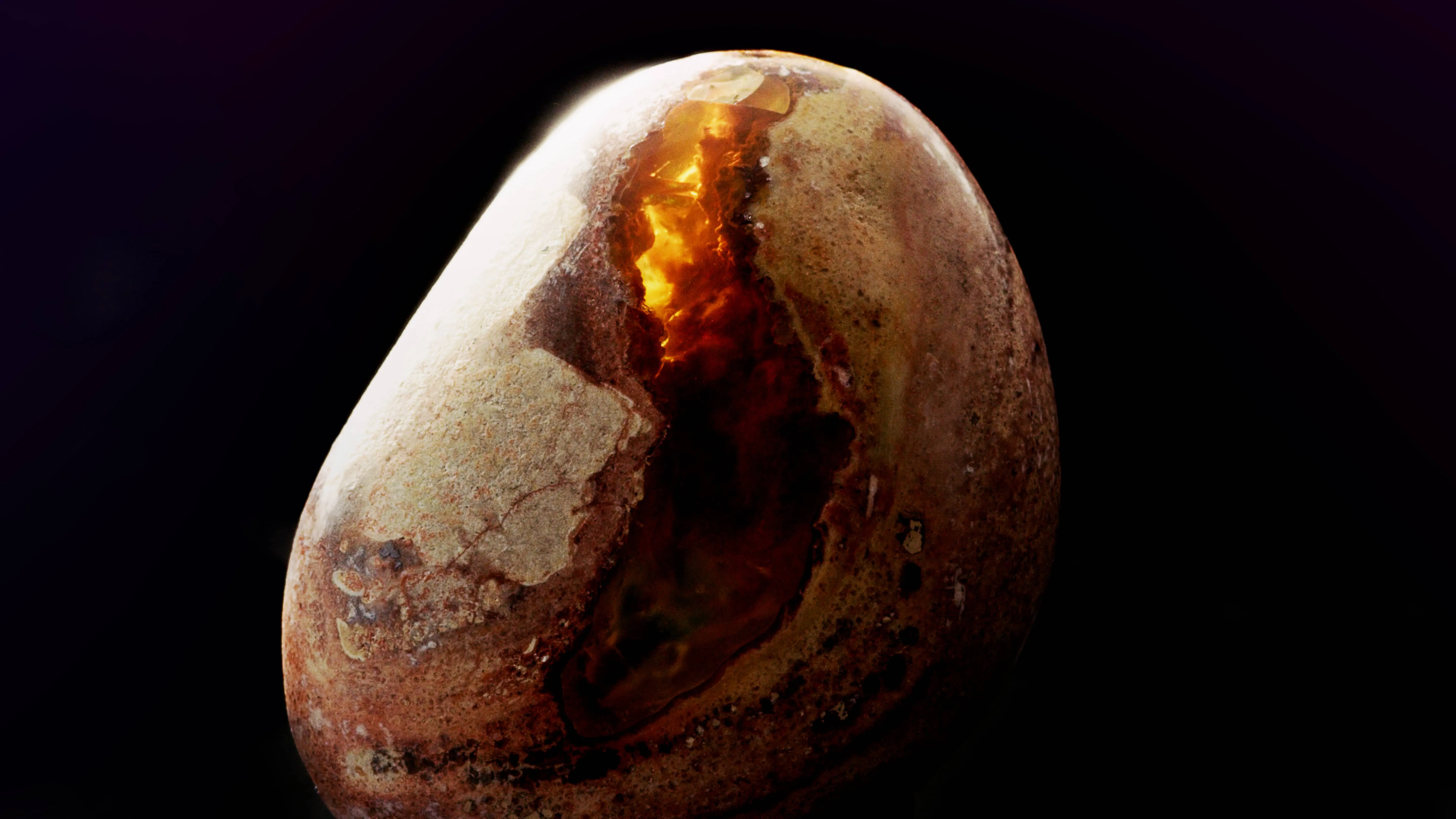 Q-CTRL Releases Free Access to Fire Opal for End Users to Improve Quantum Algorithm Performance ...