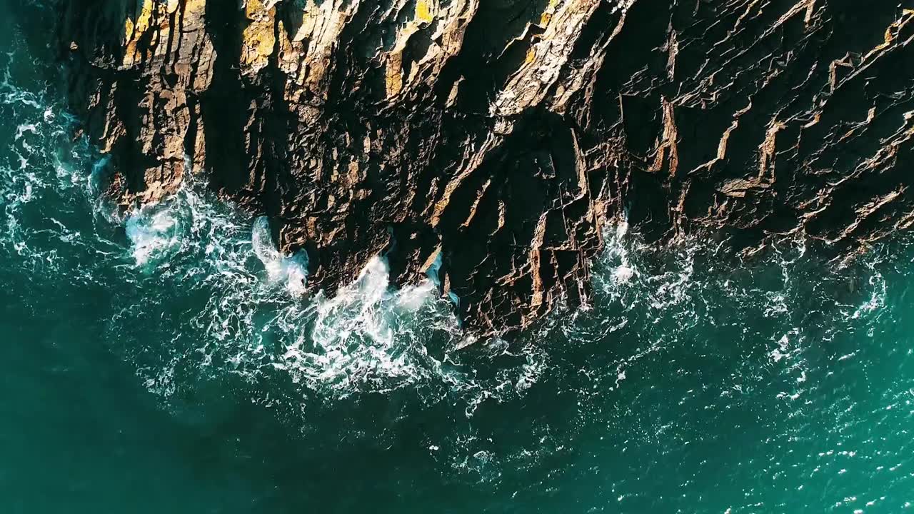 Notpla | Sustainable Packaging Made from Seaweed