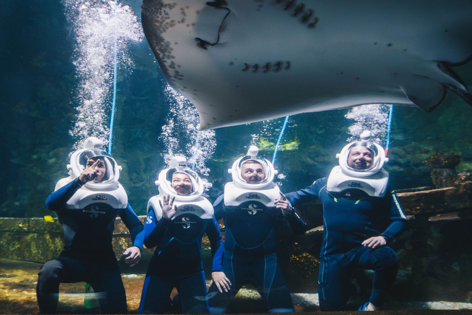 Home - Aquarium of Guam