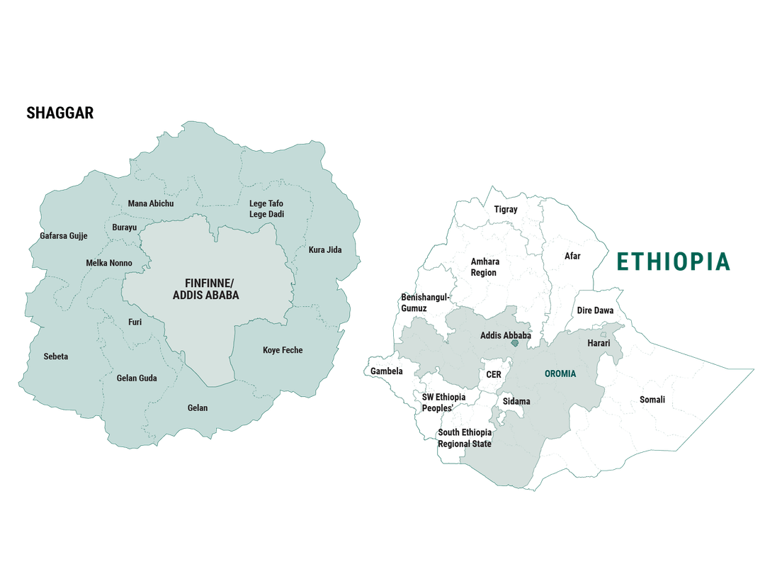 Shaggar | AMALI GovHub City Profile