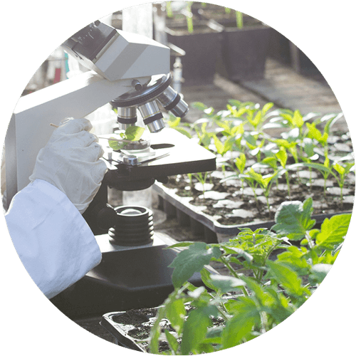 Bioprocessing data analytics platform