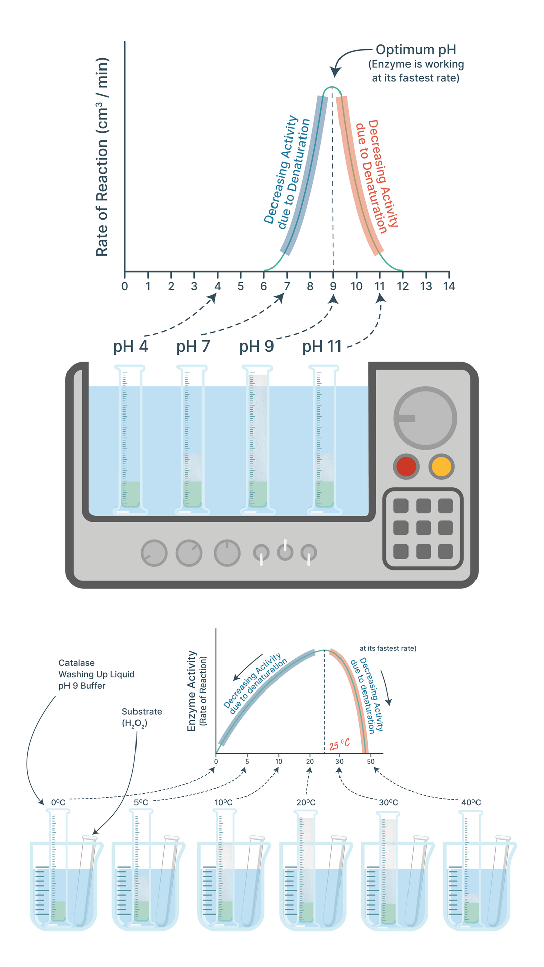 Biology Course