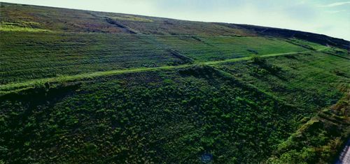 BRADS Landfill | Disposal | Dump