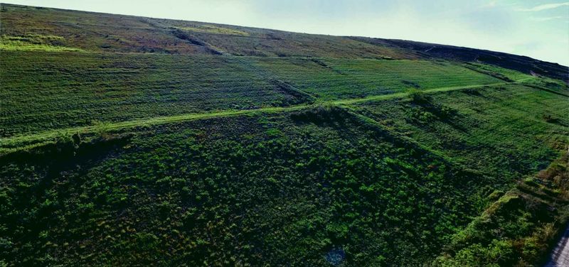 Anderson Regional Landfill | Disposal | Dump