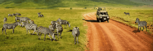 How to future-proof the Travel & Tourism workforce | Together in Travel