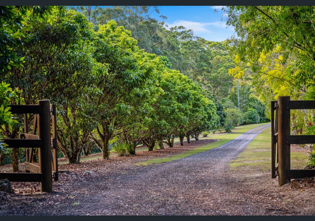 Noble Estate | Sunshine Coast's Real Estate Experts