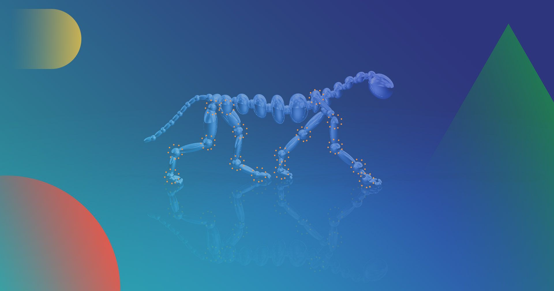 Quadruped Anatomy for Animators