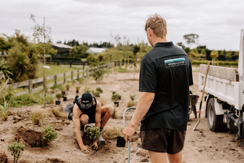 Landscaping Hamilton | Master Landscapers Waikato | Groundcover Landscaping