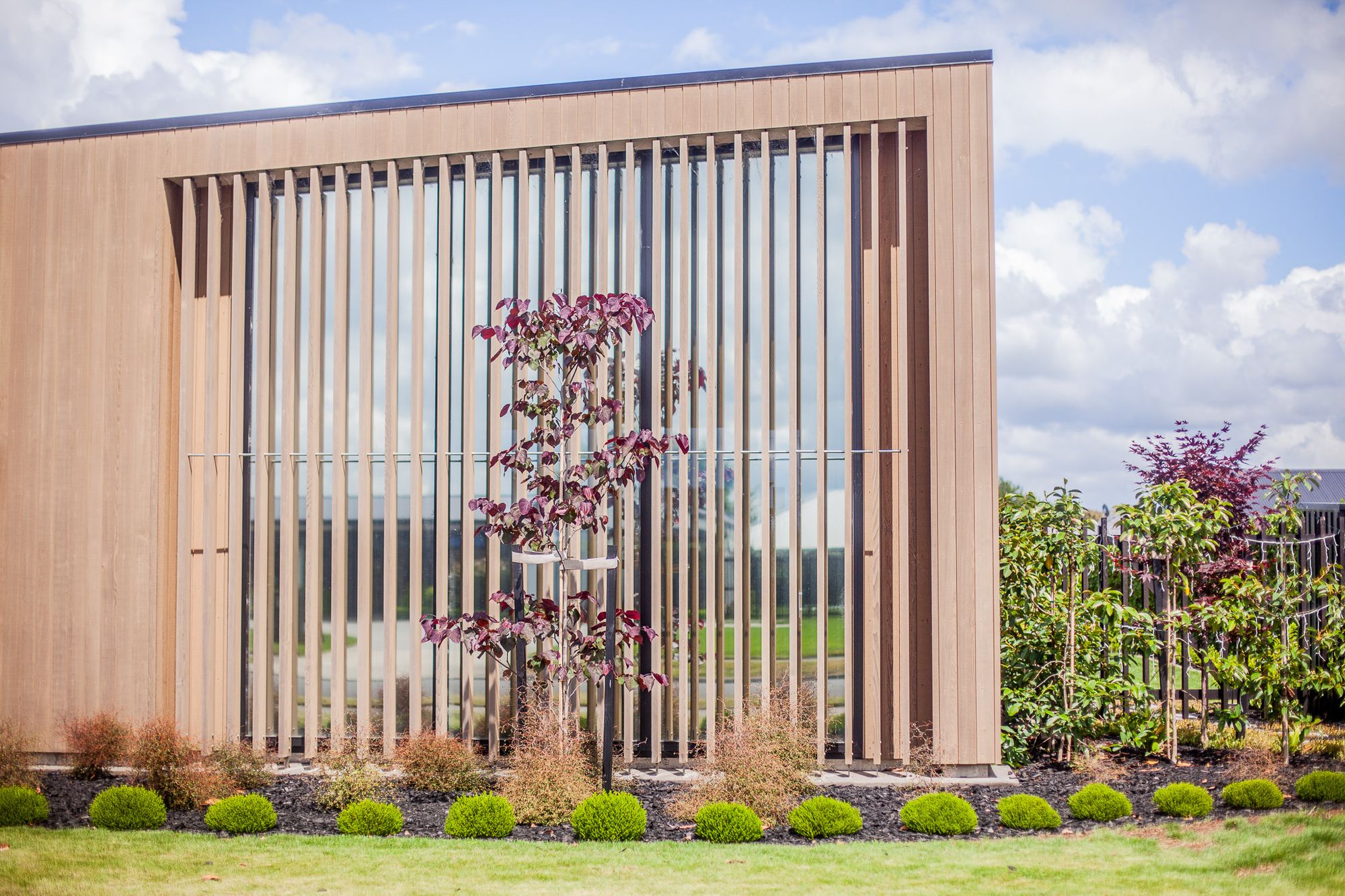 Landscaping Hamilton | Master Landscapers Waikato | Groundcover Landscaping