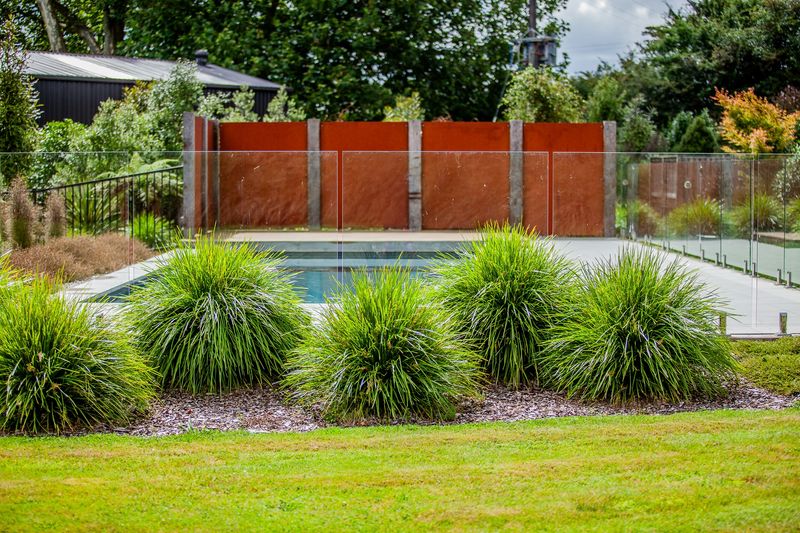 Landscaping Hamilton | Master Landscapers Waikato | Groundcover Landscaping