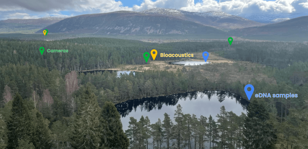 Okala - Biodiversity Insights