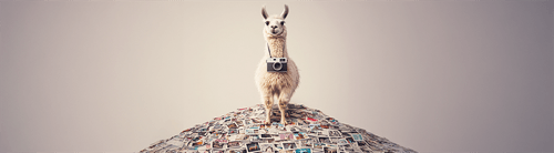 Together AI launches Llama 3.2 APIs for vision, lightweight models ...