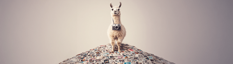 Together AI launches Llama 3.2 APIs for vision, lightweight models ...