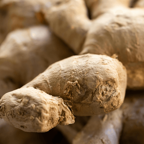 Pacran™ Cranberry Urinary Tract Health | Givaudan Health & Nutrition