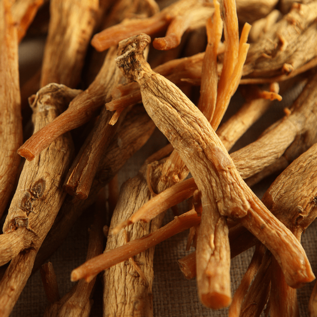 Pacran™ Cranberry Urinary Tract Health | Givaudan Health & Nutrition