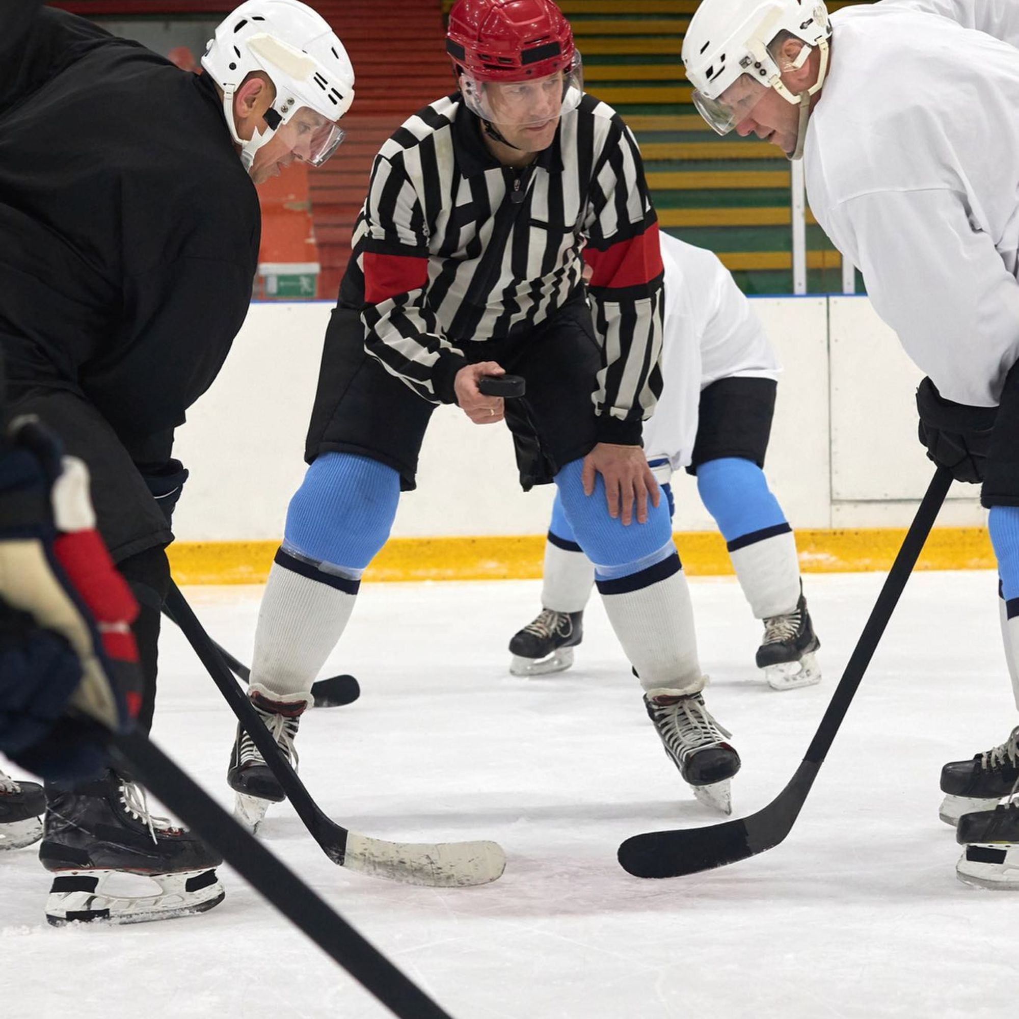 York Ice Arena - Hockey