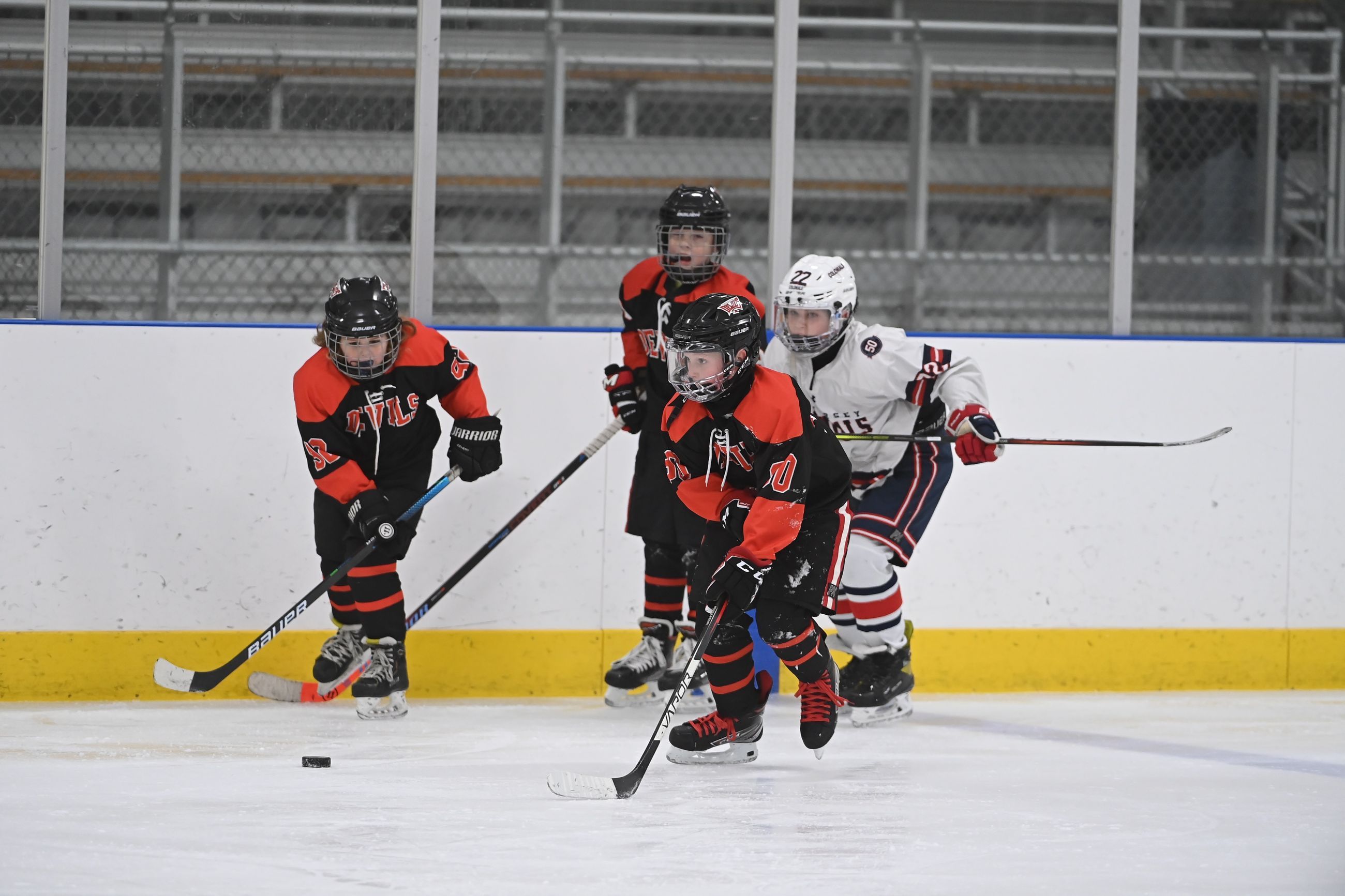 York Ice Arena - Hockey
