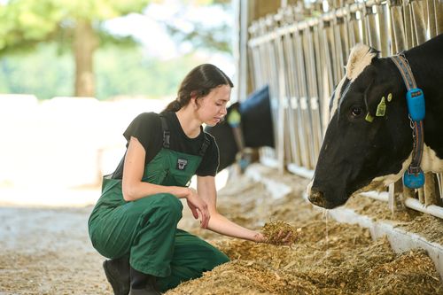 One Team, One Health