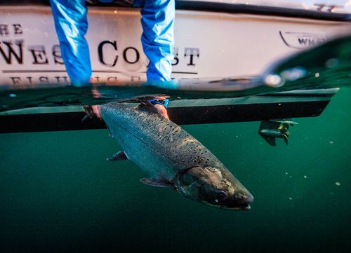 A Commitment to Conservation | West Coast Fishing Club