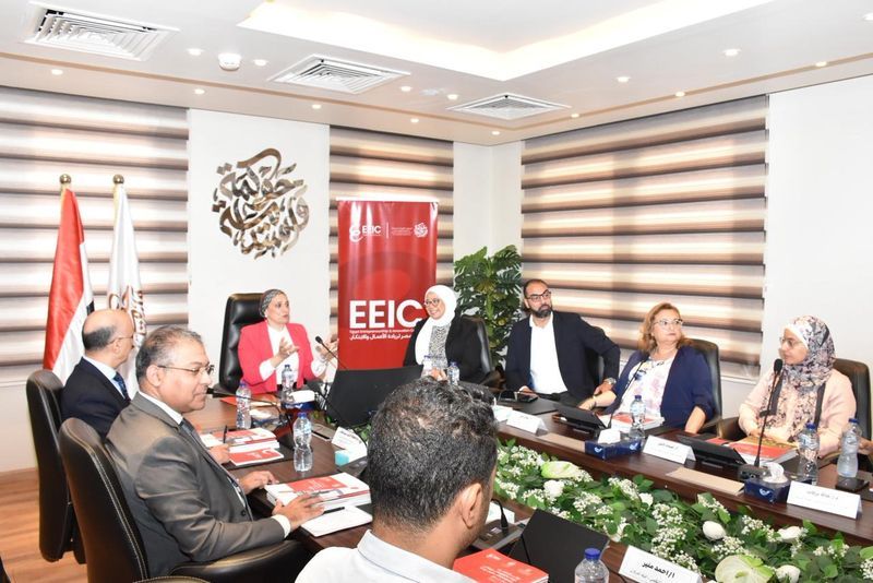 Egypt Entrepreneurship and Innovation Center (EEIC)