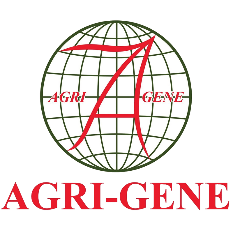 Samen NZ - Dairy Genetic Solutions, The Future of Efficiency